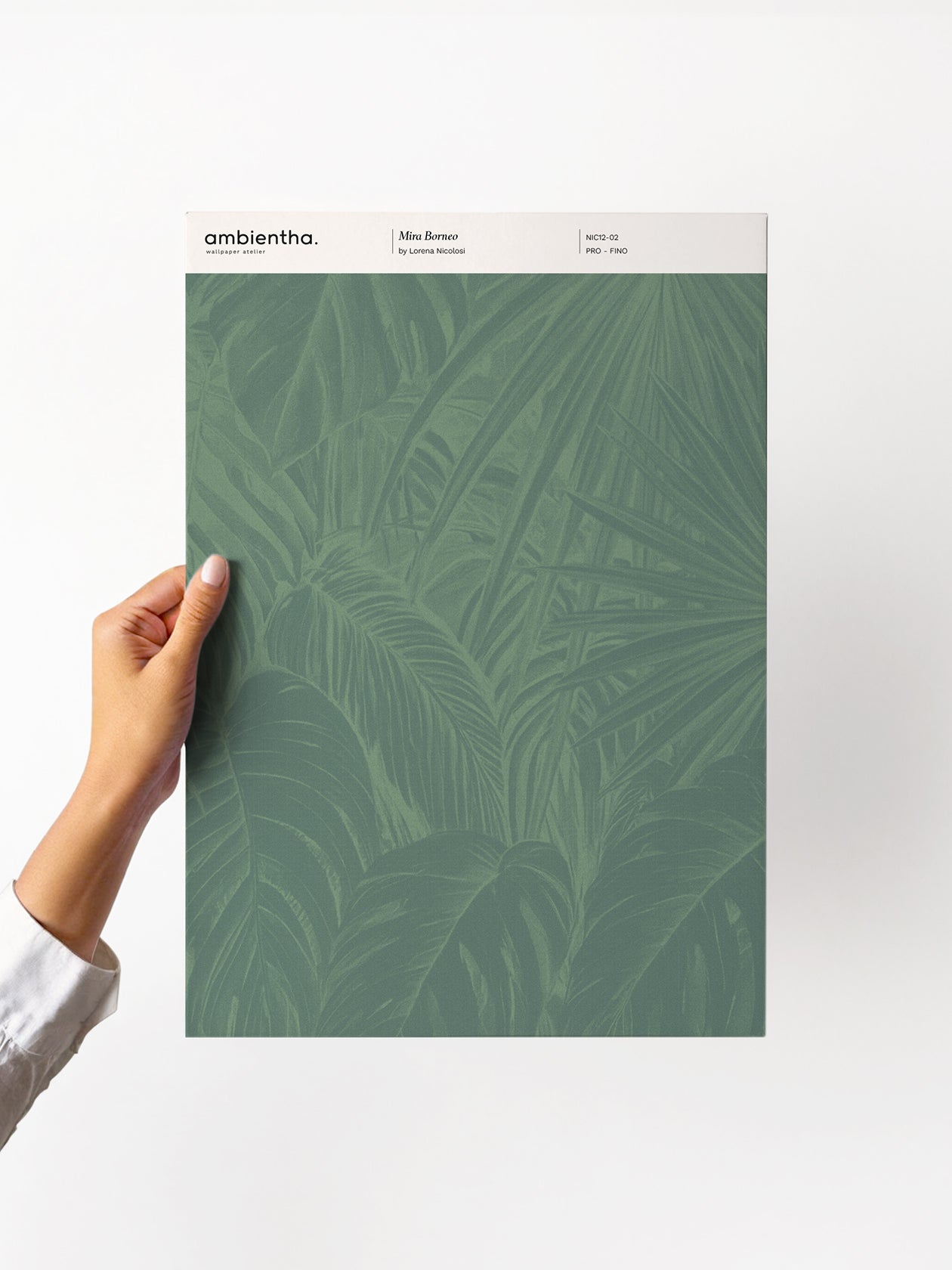 Want a tropical bathroom? Here are the samples for the walls – Ambientha