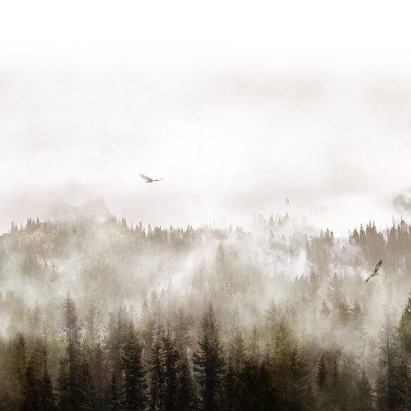 Eagles Sunray, the wallpaper that portrays the mountains - Ambientha